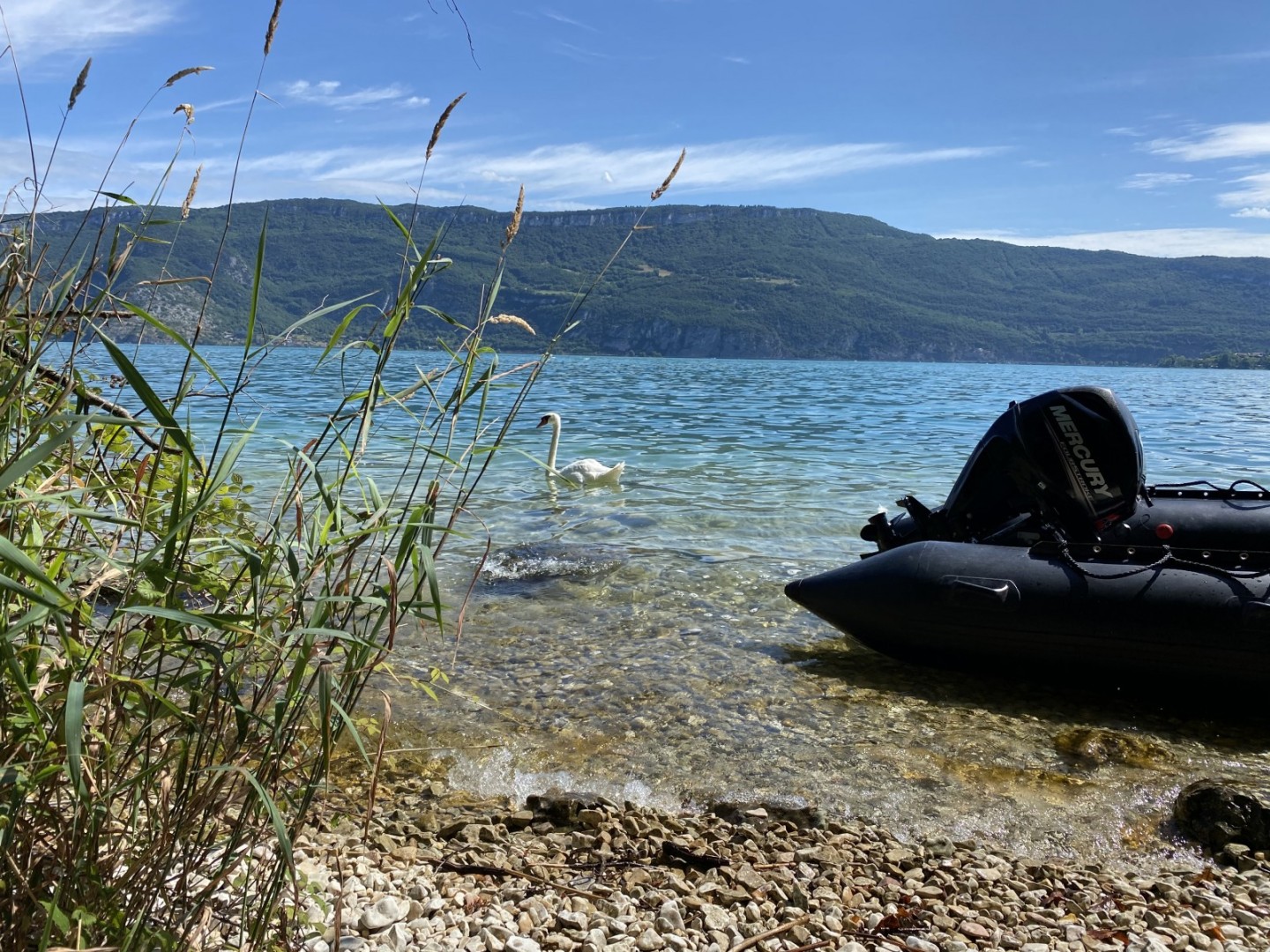 Rent a RIB Sillinger 470 in Le Bourget-du-Lac (Ô Lac) - SamBoat