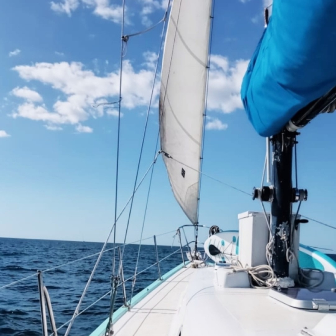 Rent a Sailboat Morgan in Flamingo (Surfari del Mar) | SamBoat