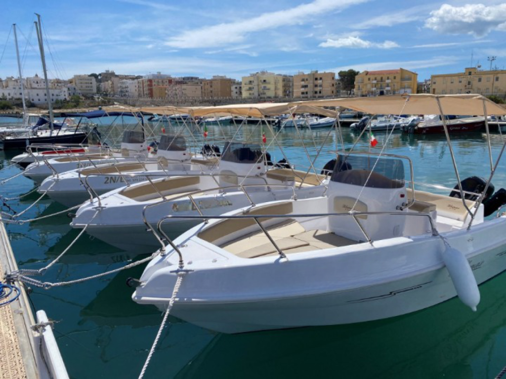 Rent a Motorboat Bluline 19 Open 40 CV in Vieste (Bluline 7) - SamBoat