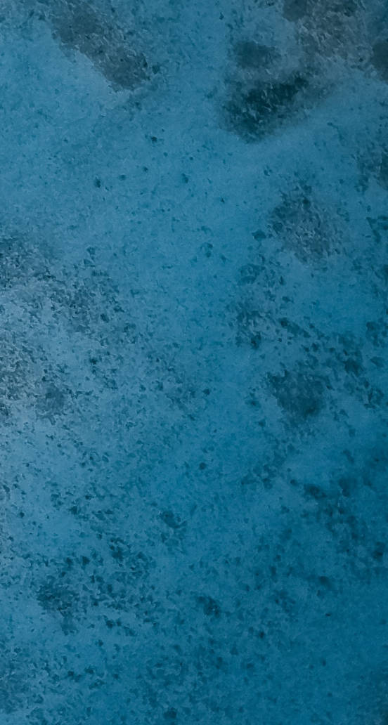 Location Bateau - Particulier & professionnel - SamBoat